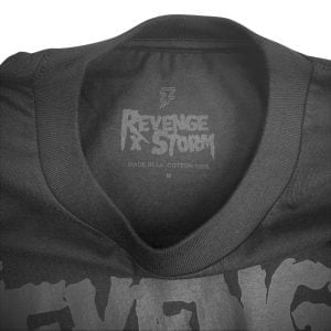 REVENGE X STORM